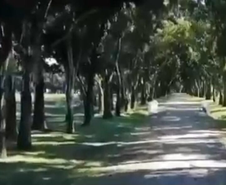 103 Hectáreas en Venta en General Pueyrredon - A 15km de Mar del Plata ...